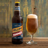 Hanlons Brewery - Award Winning Devon Beer